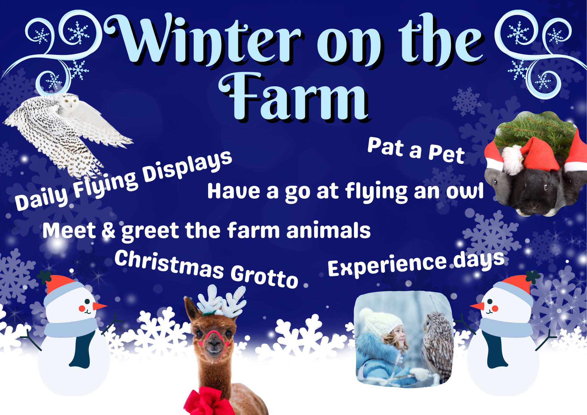 Herrings Green Farm – Family Activity Farm & Bird of Prey Centre