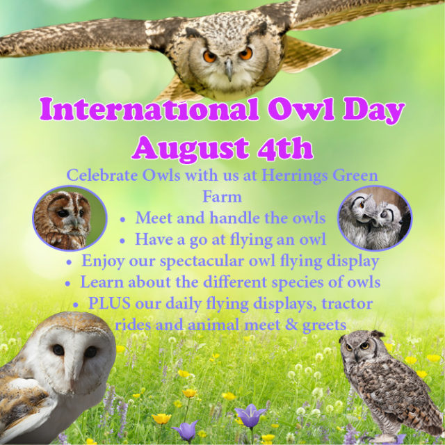 Special Events – Herrings Green Farm