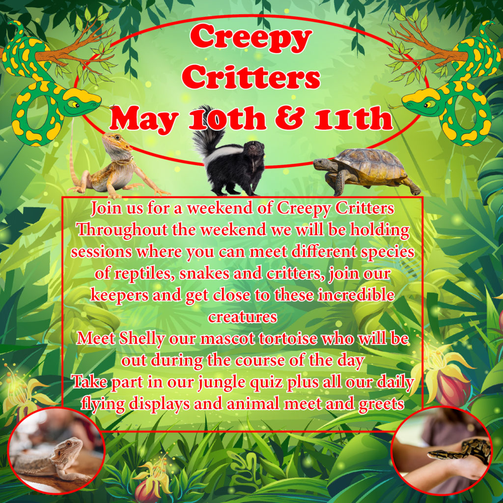 Creepy Critters – Saturday 10th May – Herrings Green Farm