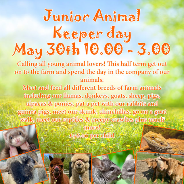 Activities & Gifts – Herrings Green Farm