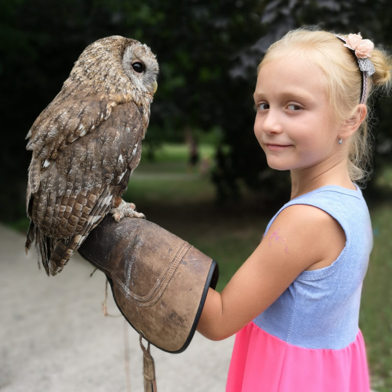 Herrings Green Farm – Family Activity Farm & Bird of Prey Centre