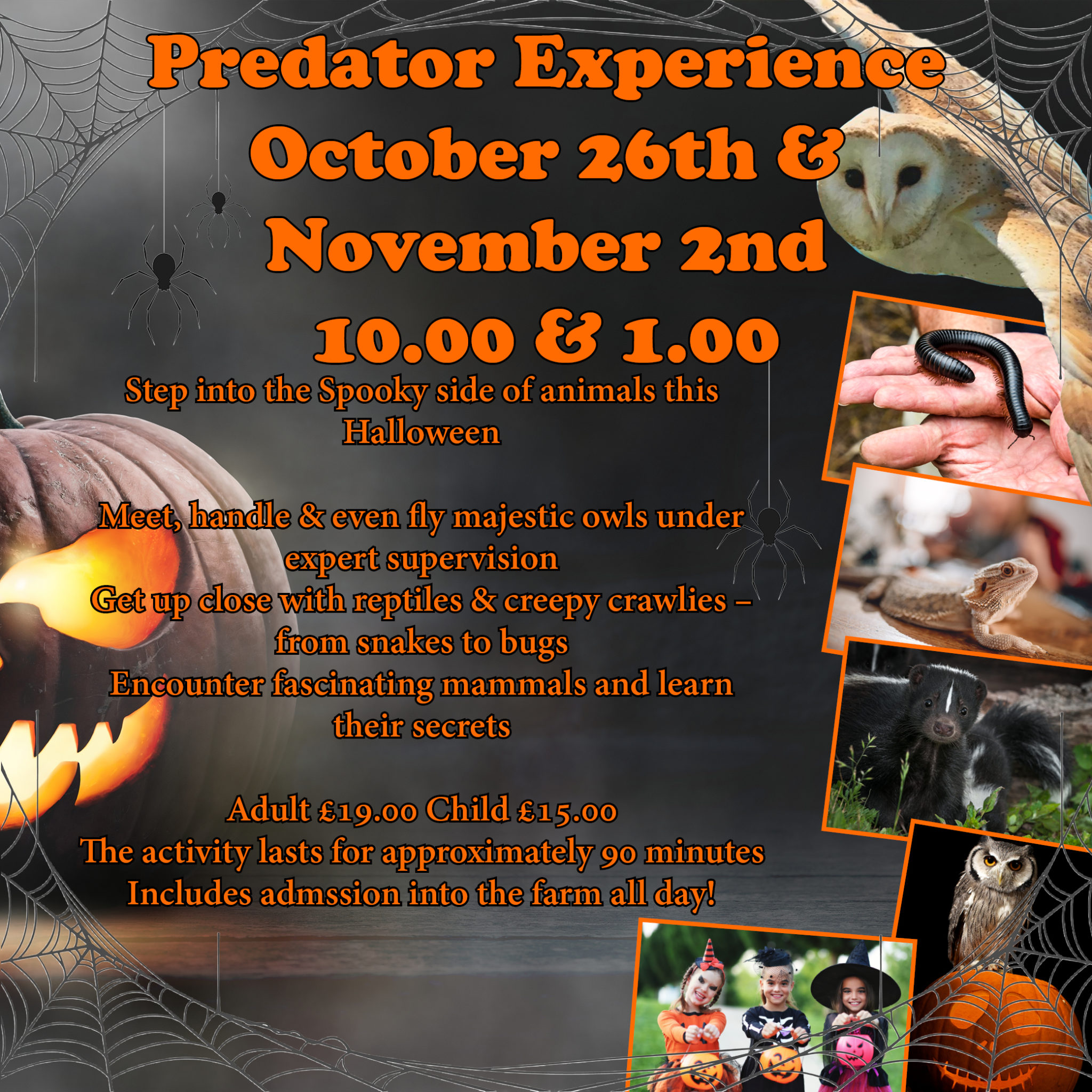 Herrings Green Farm – Family Activity Farm & Bird of Prey Centre