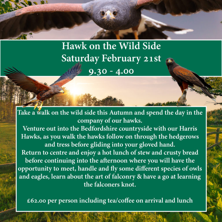 Herrings Green Farm – Family Activity Farm & Bird of Prey Centre