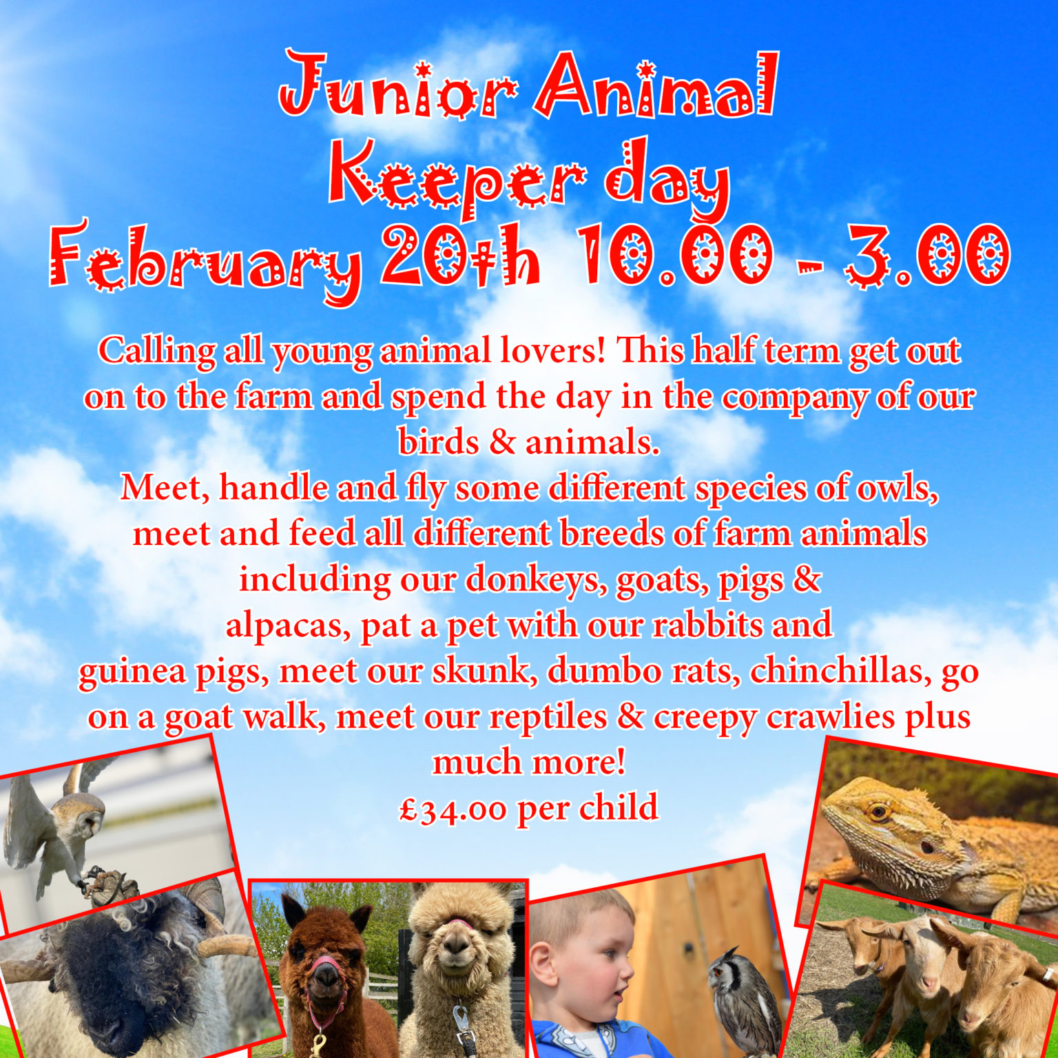 Half Term Animal Keeper Day – February 20th 10.00-3.00 – Herrings Green ...