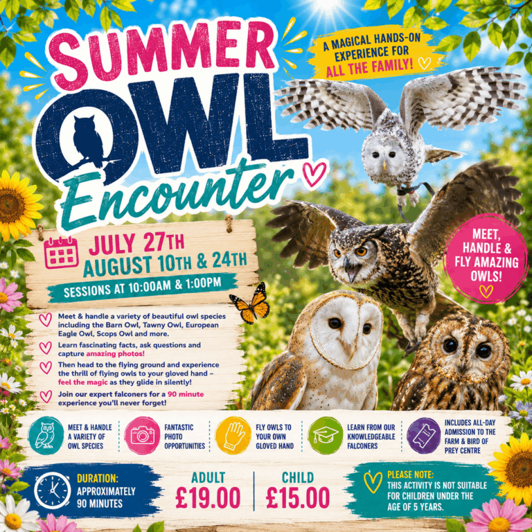 Summer Owl Encounter – July 27th, August 10th & 24th 10.00 & 1.00 ...